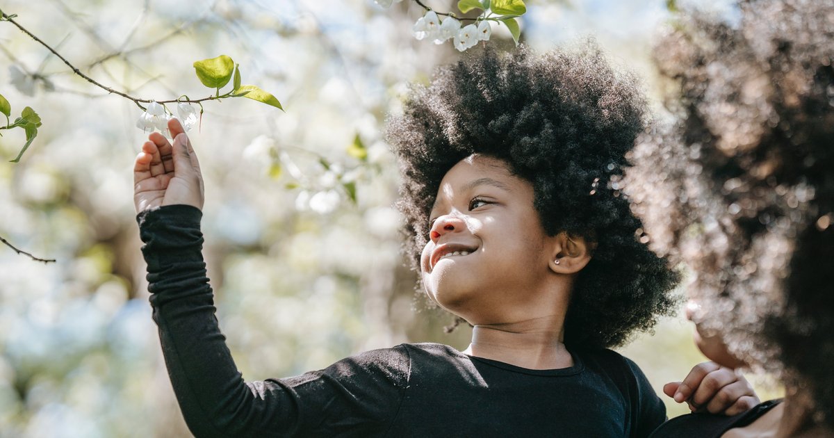 I Had a Little Nut Tree nursery rhyme music and lyrics | Words for Life