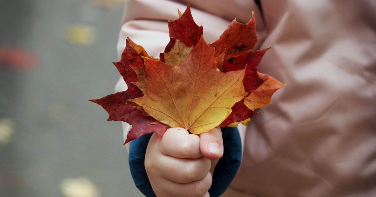 Five Little Leaves | Words for Life