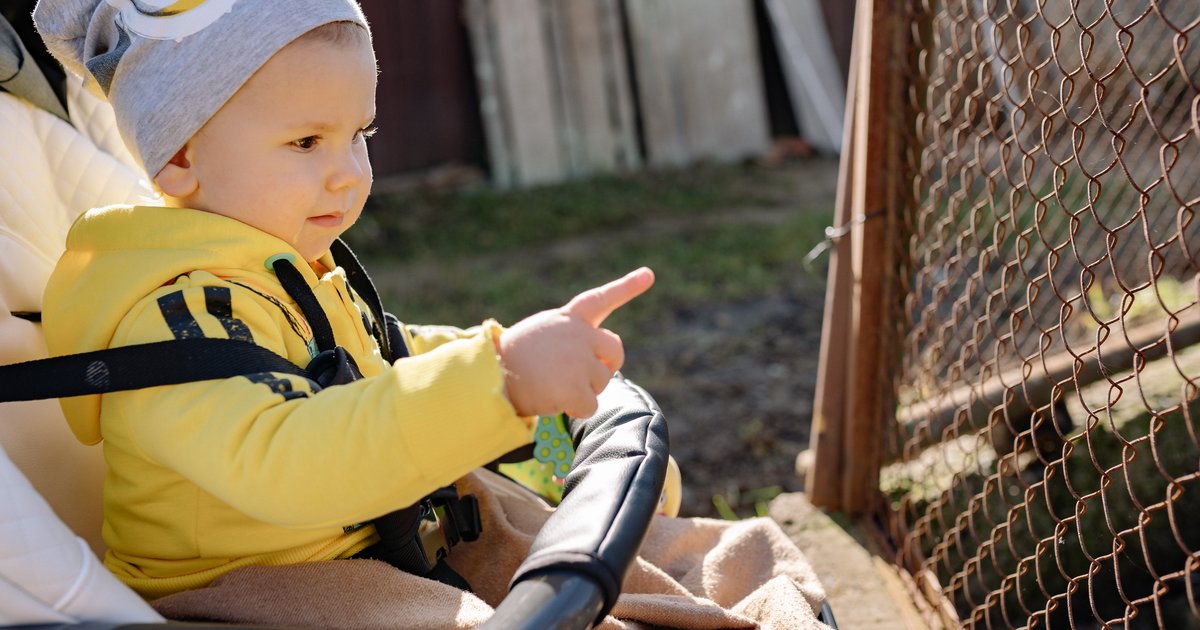 Pointing and naming things with your baby | Words for Life